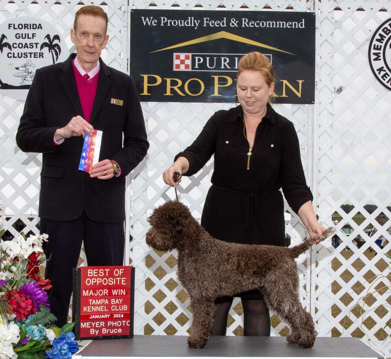 Champions - De Lombardie GSPs & Lagottos